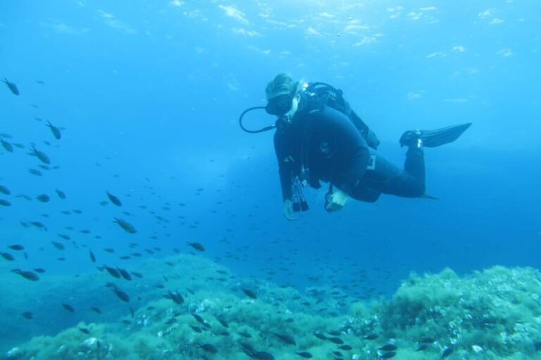 Malta: 2 Scuba Fun Dives for Certified divers - What Makes This Tour Stand Out?