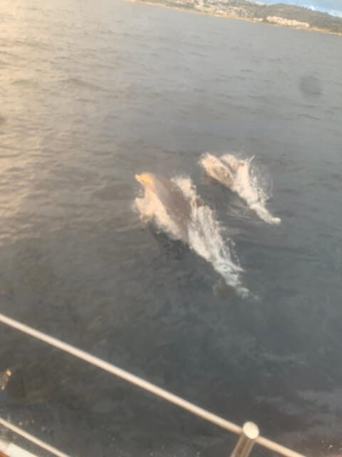 Malta Gozo Comino: Full Day Sailing Charter - Exploring the Itinerary: What to Expect from the Day