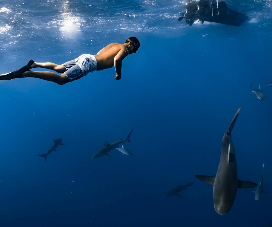 Man swimming alongside sharks in open ocean showing underwater adventure
