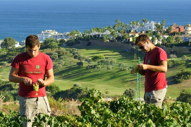 Manilva Oceanfront Wine Experience in the Marbella Area - The Itinerary in Detail