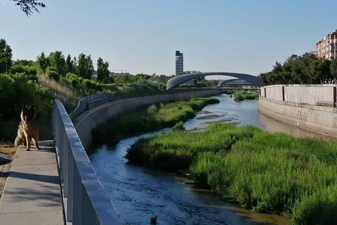 Manzanares Rivers Story: A Self-Guided Audio Tour in Madrid - Final Thoughts: Who Will Love This Tour?