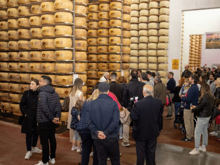 Maranello: Parmesan Factory Tasting & Tour near Modena - Final Thoughts: Who Will Love This Tour?