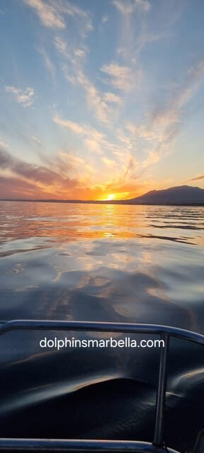 Marbella: Dolphin-Watching Sailboat Trip with Drinks, Snacks - An Overview of the Experience