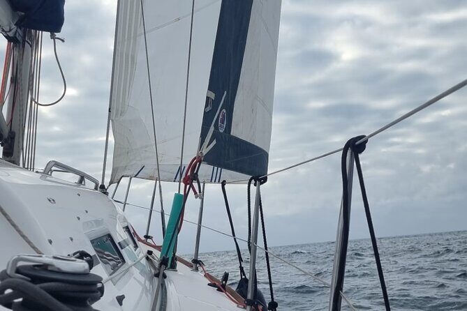 Marbella sailboat rental, dolphins, drinks and snacks - 2 hours - The itinerary in detail