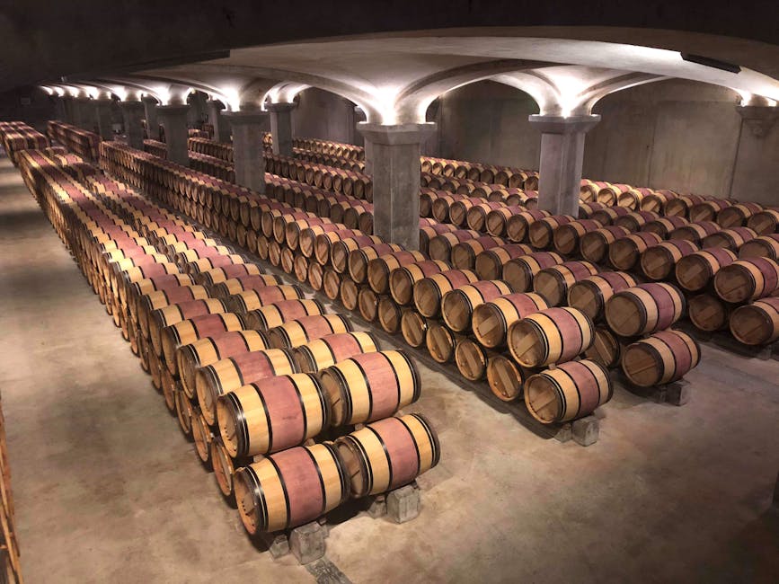 Margaux winery cellar oak barrels rows aging Medoc