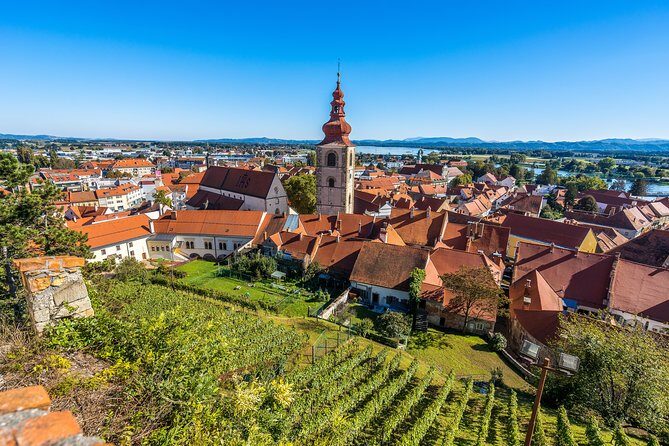 Maribor and Ptuj with entrance to Ptuj castle From Ljubljana - Who Would Love This Tour?