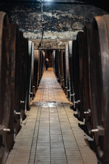 Maribor: Vinag Wine Cellar Tour with Wine tasting and snacks - Who Will Love This Tour?