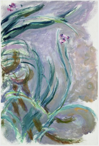 Iris 1924 by Claude Monet at Musee Marmottan Monet