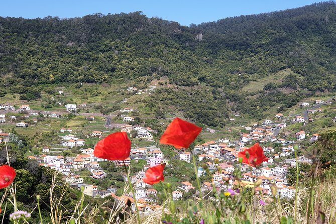 Maroços - Mimosa Valley - The Scenic Route and Highlights