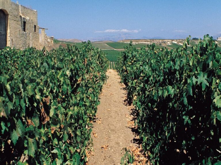 Marsala: Winery Tour with Wine Tasting and Local Products - Local Products and Pairings