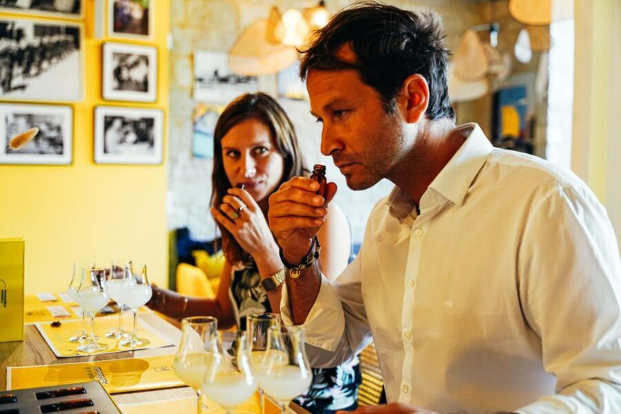 Marseille : Discover the secrets of pastis - Exploring the Itinerary: What You Can Expect