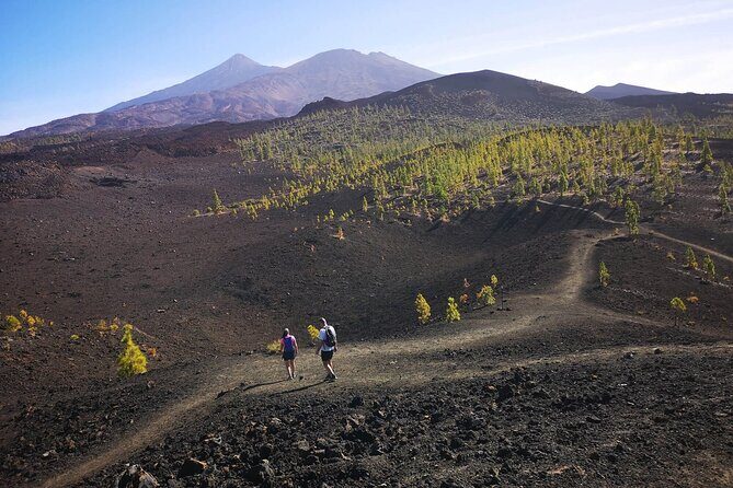 Masca - Garachico - Icod - Teide National Park - FAQs