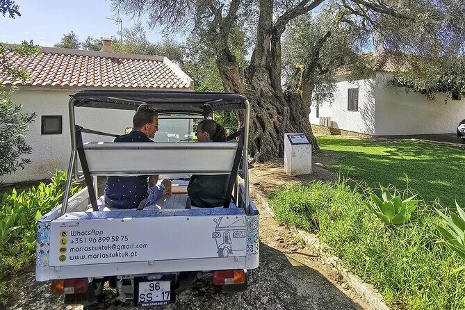Meet Santa Luzia / Capital do Polvo / Salinas in a 100% electric Tuk Tuk - Insights from Reviews