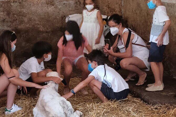 Menorca: Cheesemaking and Farm-Fresh Product Tasting - The Value and Practical Details