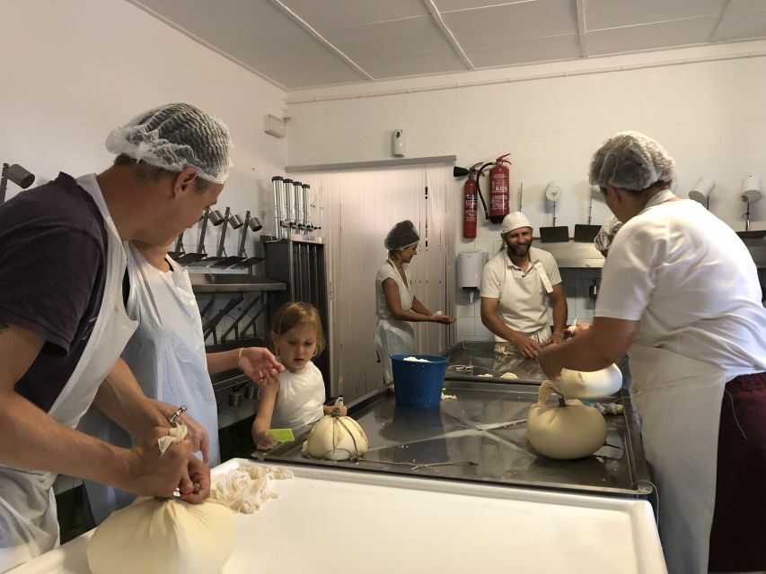 Menorca: Cheesemaking and Farm-Fresh Product Tasting - In-Depth Breakdown of the Tour Experience