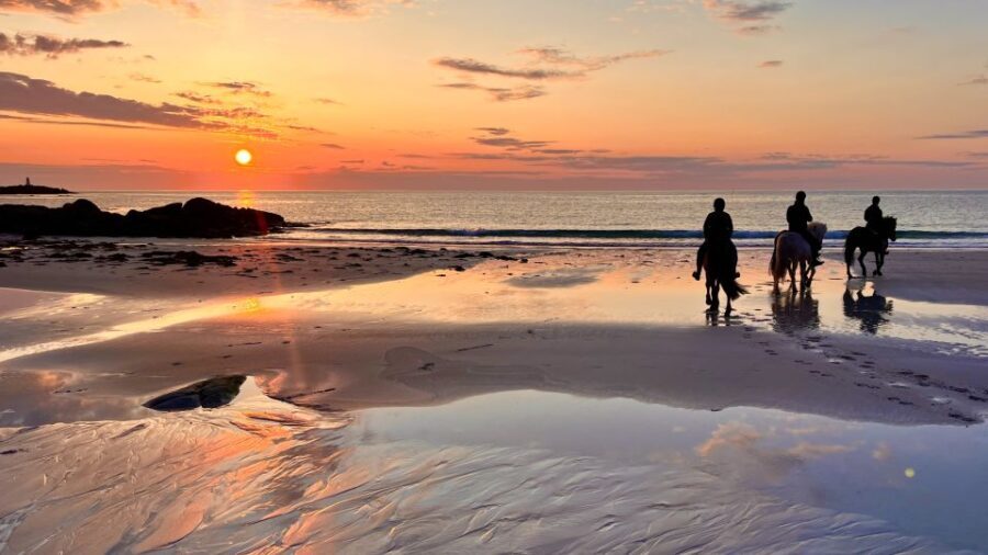 Midnight sun tour - What to Expect: Details and Insights