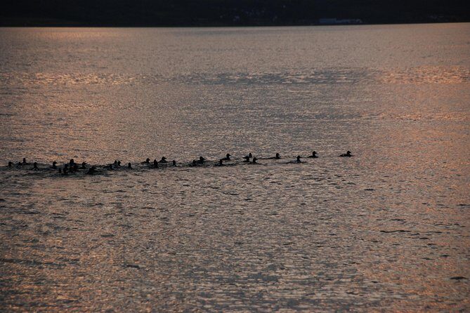 Midningtsun - Luxury Yacht Arctic Queen - Authentic Experience: What Reviewers Highlight