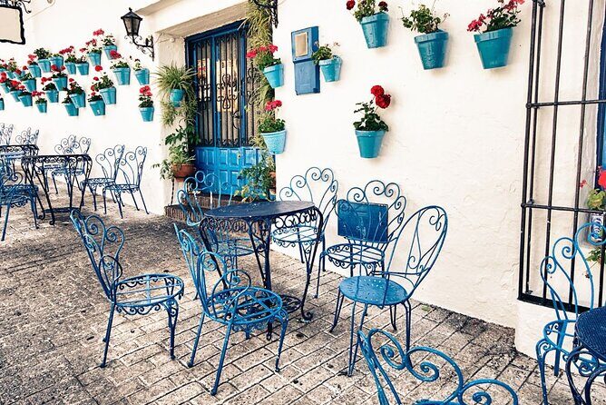 Mijas and Marbella Tour from Malaga - Transportation & Group Dynamics