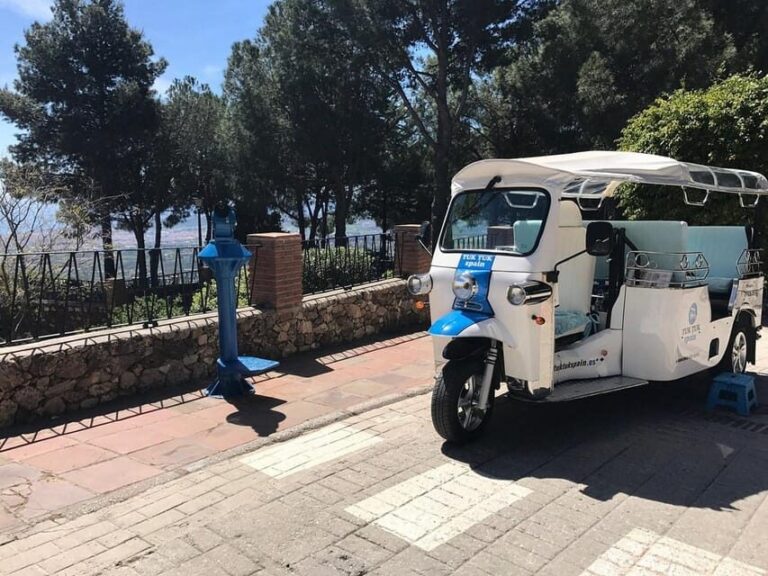Mijas: Panoramic city tour with an electric Tuk Tuk - Why Choose the Mijas Tuk Tuk Tour?