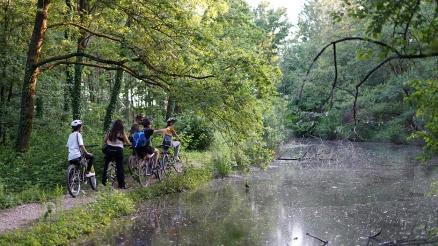 Milan: Bike Tour with Picnic on the turtle lake - What to Expect and What Makes It Special
