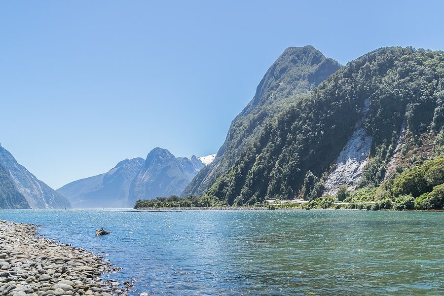 Wide view of Milford Sound from a cruise boat