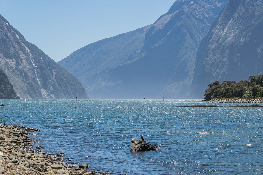 The entrance to Milford Sound seen from a cruise boat