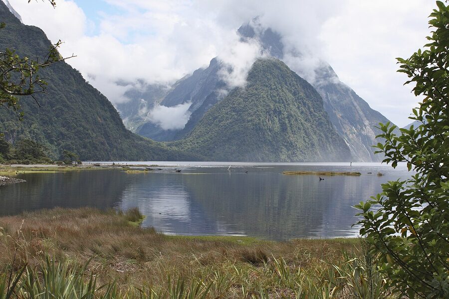 Milford Sound and Sinbad Gully