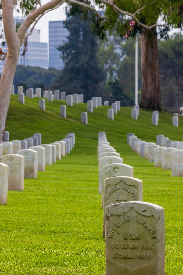 Peaceful military cemetery with aligned white headstones and greenery
