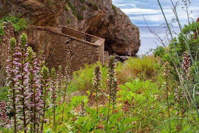 Mindful Coastal Hike in Arrabida  Secret Beach by the Atlantic - The Itinerary Breakdown: What to Expect