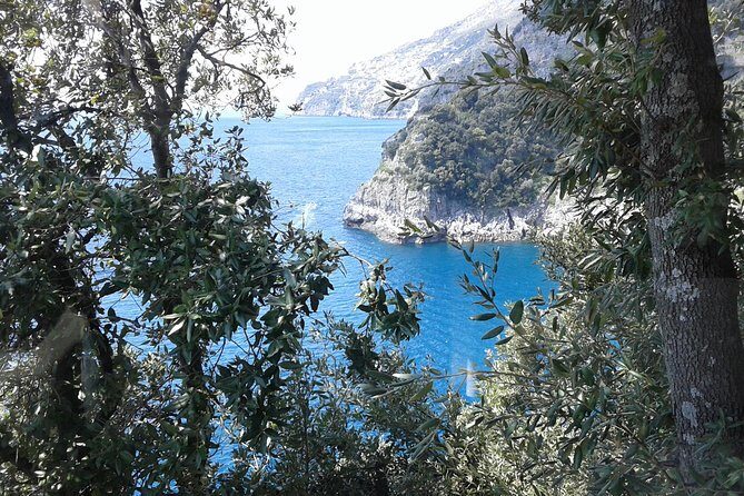 Minivan Tour | Amalfi Ravello and Pompeii with driver - Practical Value and Pricing