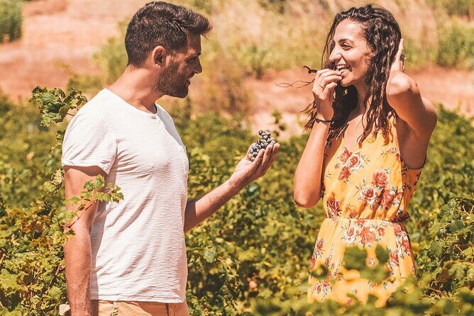 Minoan Crete from 3.000 BC: Knossos Palace & Museum with Wineries from Heraklion - Transportation and Convenience