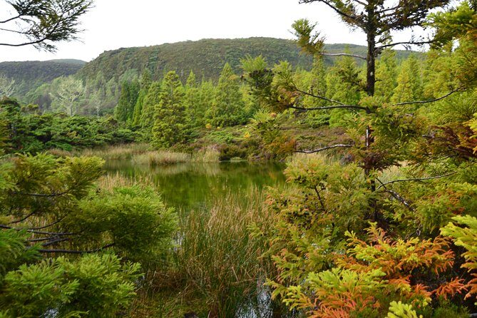 Mistérios Negros Hiking Trail - Terceira Azores - What to Expect During the Hike