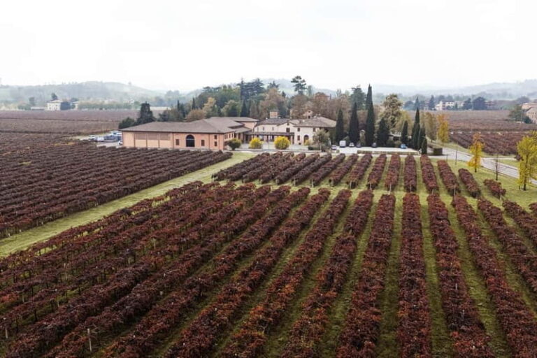 Modena: Cellar Tour & Lambrusco Tasting in Castelvetro - The Tasting: A Flavorful Journey