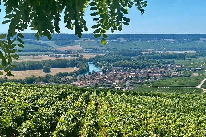 Moet et Chandon Veuve Clicquot Private Champagne trip from Paris - Moët et Chandon: The Iconic Champagne House