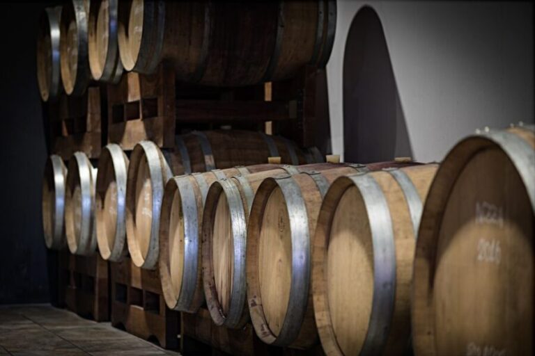 Monferrato: Wine Tour & Picnic in the Vineyards - Exploring the Monferrato Wine Tour & Picnic Experience
