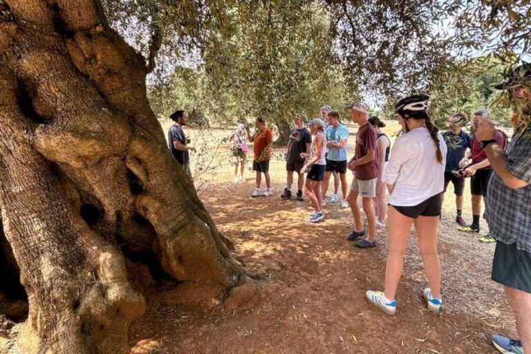 Monopoli: E-Bike Tour with Sandwich and Wine - FAQs