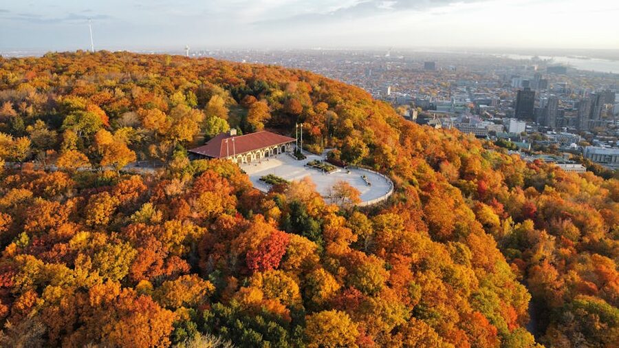 Mont Royal aerial view with autumn foliage