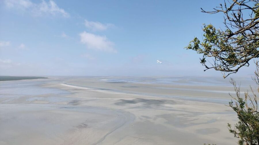 Mont-St-Michel: Small Group Guided Tour with Abbey Ticket - What’s Included and What’s Not