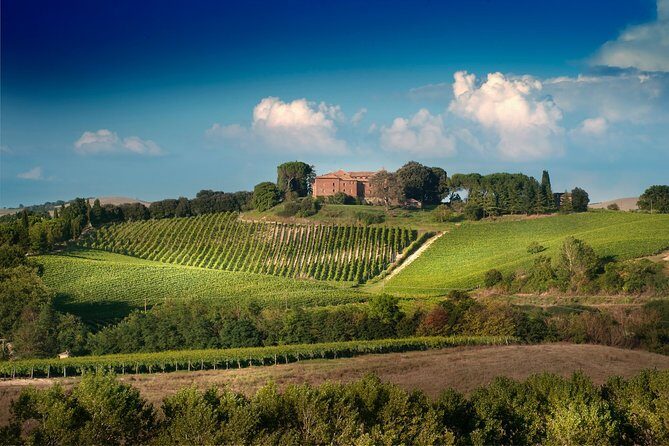 Montalcino: Brunello Wine Tasting Experience - Who Will Love This Tour?