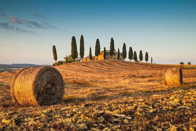 Montepulciano, Montalcino, Pienza from Florence - Transportation and Comfort