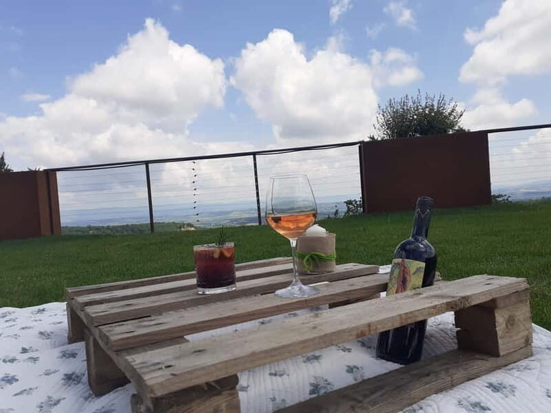 MONTEPULCIANO - PIC NIC WITH WINE! SURROUNDED BY VINEYARDS - The Experience in Detail