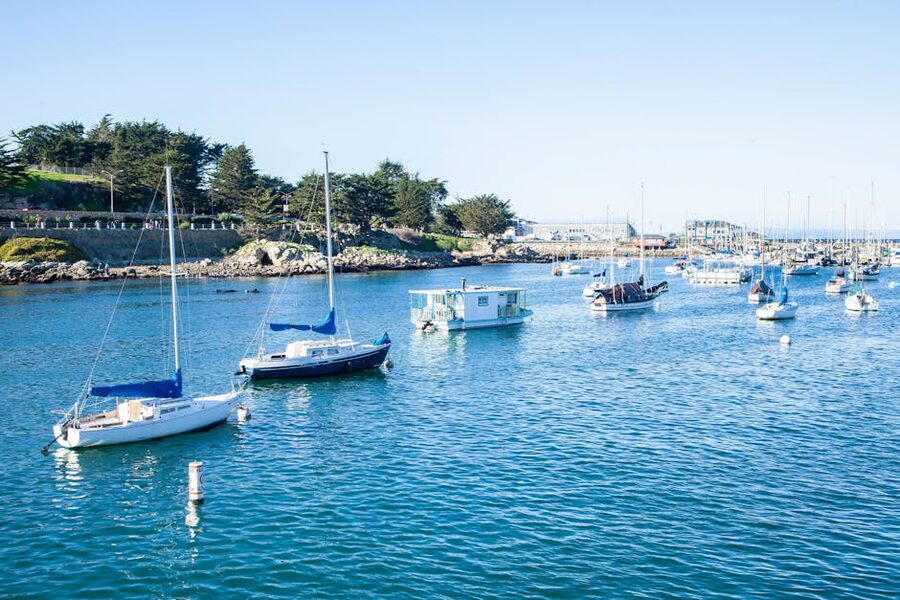 Sailboats in Monterey Harbor