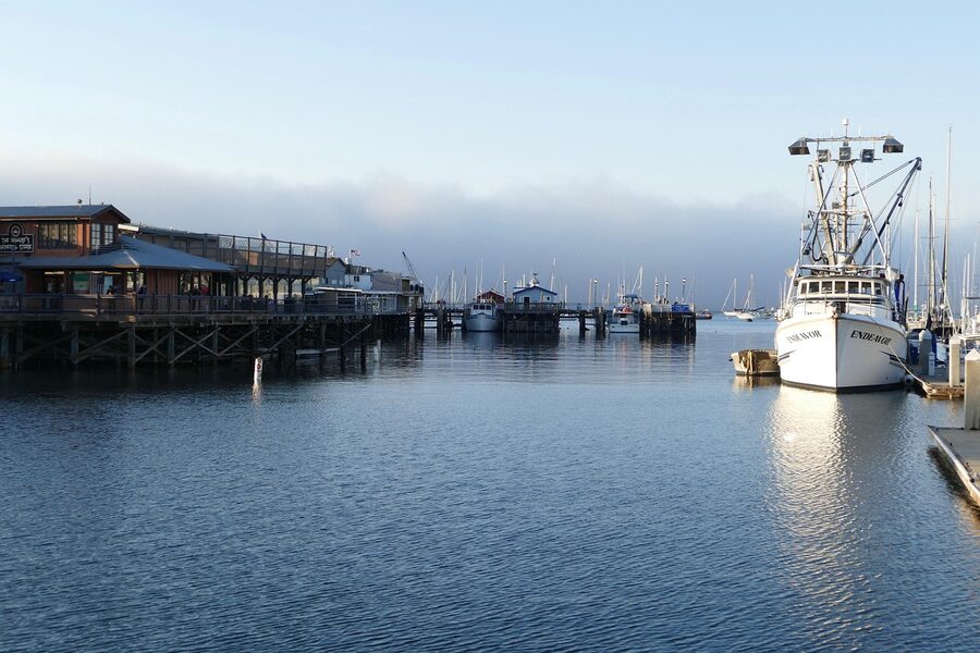 Monterey port and marina with boats
