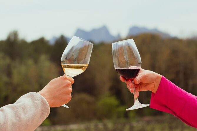 Montserrat & Boutique Winery with Catalan Brunch | Private Tour - The Value and Overall Experience