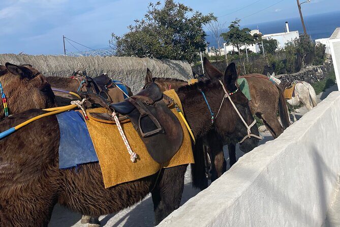 Morning Escape in Santorini: A Day Tour of Island Beauty - The Practical Side: What Makes This Tour Stand Out