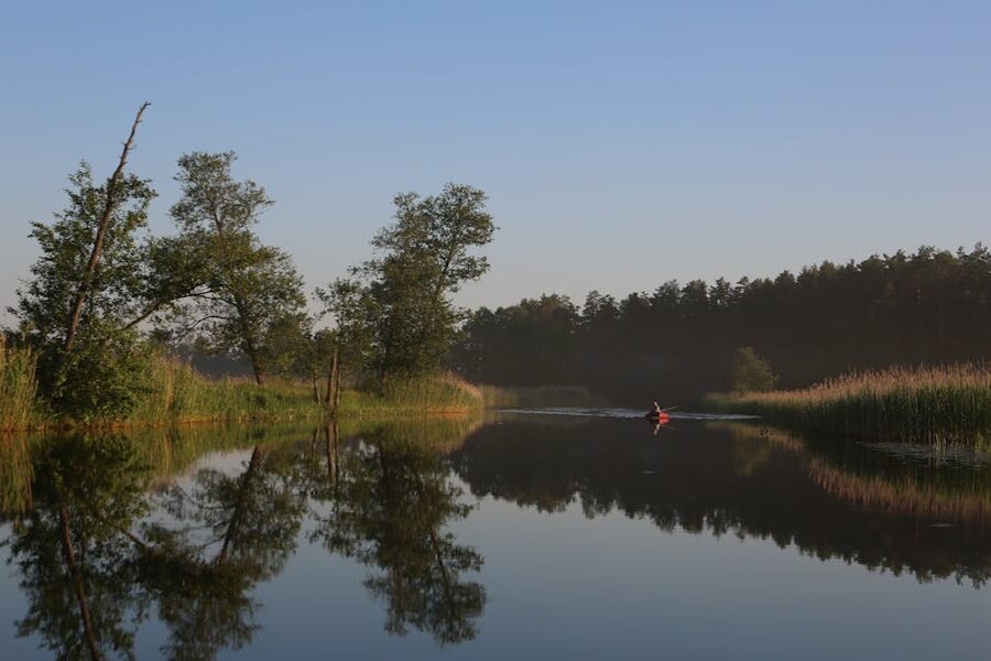 Morning kayak tour on a tranquil tree-lined river