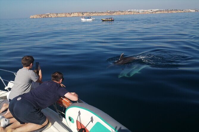 Morning private charter with drinks tapas, paddle boards &kayak - Why This Tour Offers Great Value