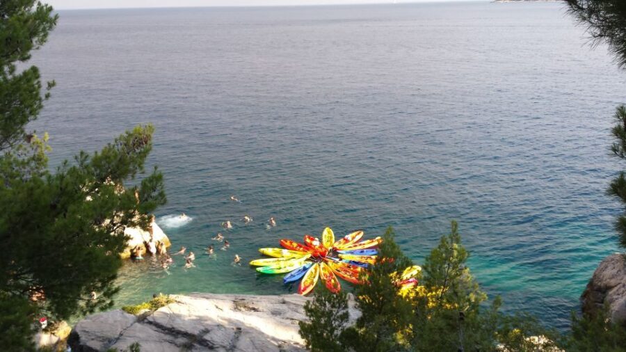 Morning Split Sea Kayaking Tour - What to Expect During the Tour