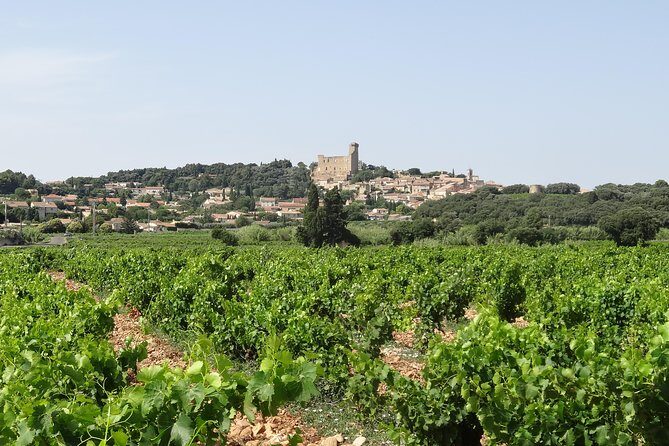 Morning Wine Tour to Chateauneuf du Pape from Avignon - A Detailed Look at What You Can Expect