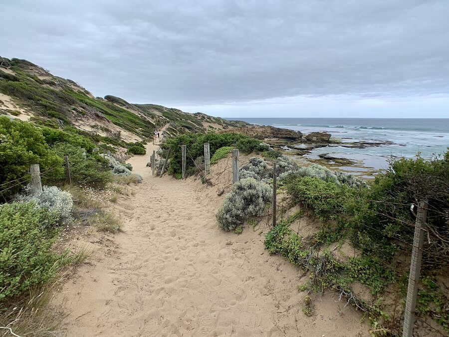 Mornington Peninsula coastal walking track Bridgewater Bay